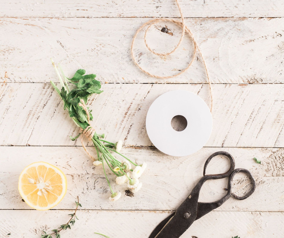 Eco-Friendly Earth Day Activities and Projects Using Bamboo | Bamboo Grove